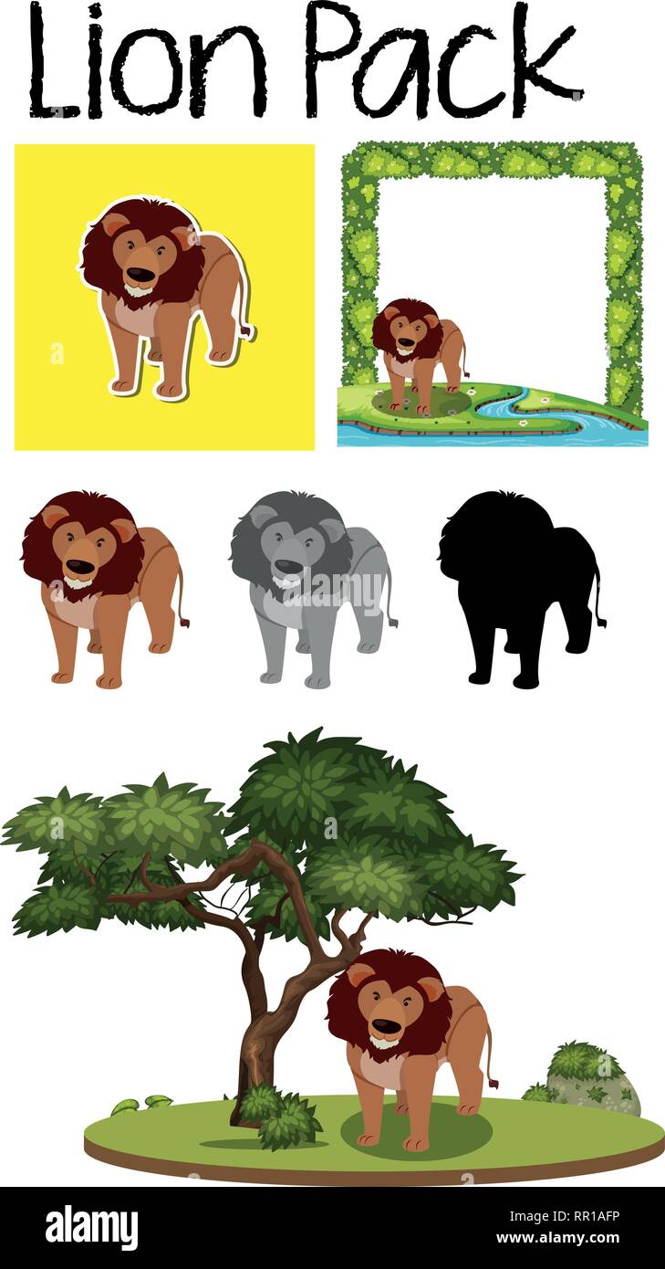 A pack of lion illustration Stock Vector Image & Art - Alamy