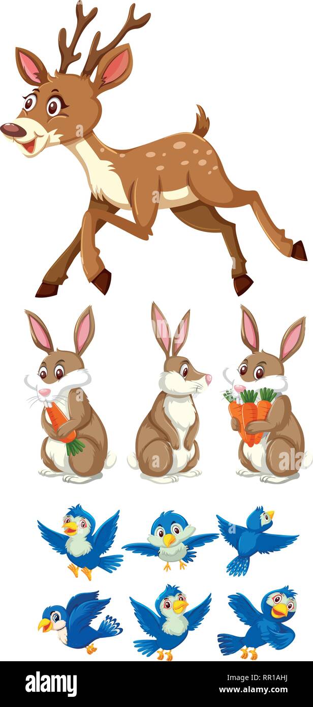 Set of wild animal character illustration Stock Vector Image & Art - Alamy