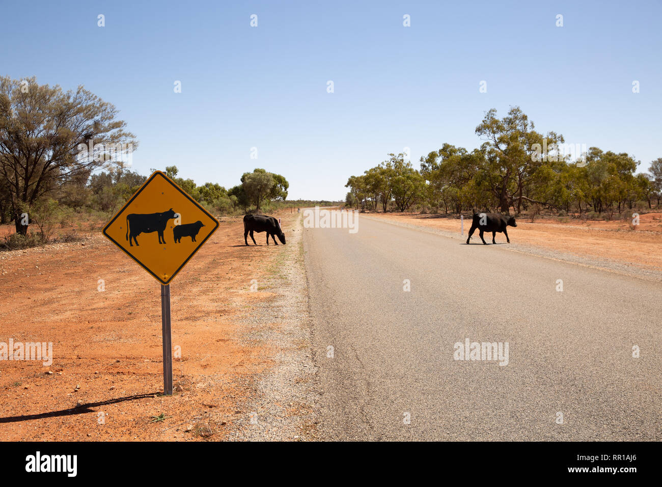 Cow signage hi-res stock photography and images - Alamy