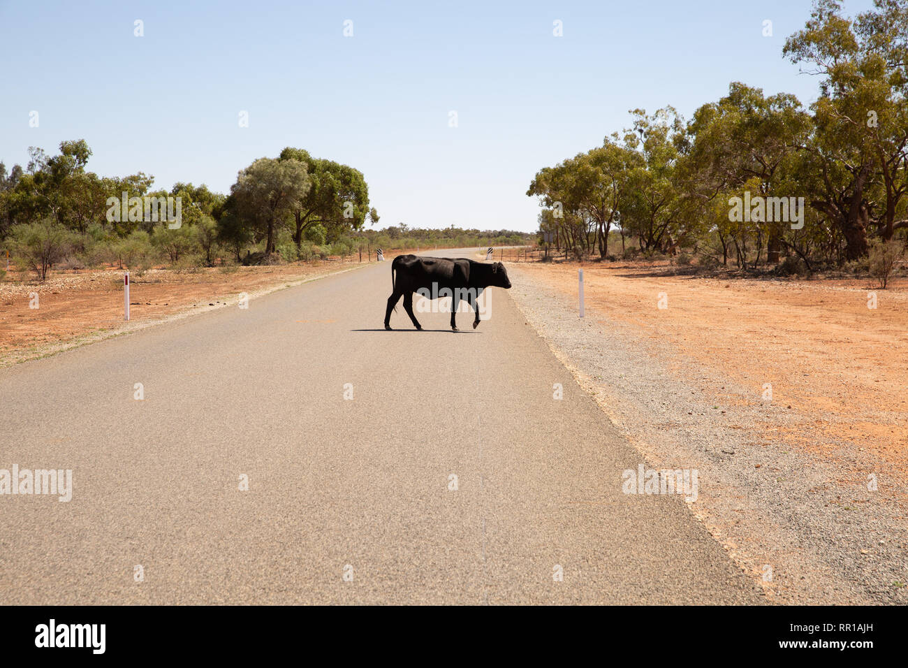 Cow signage hi-res stock photography and images - Alamy