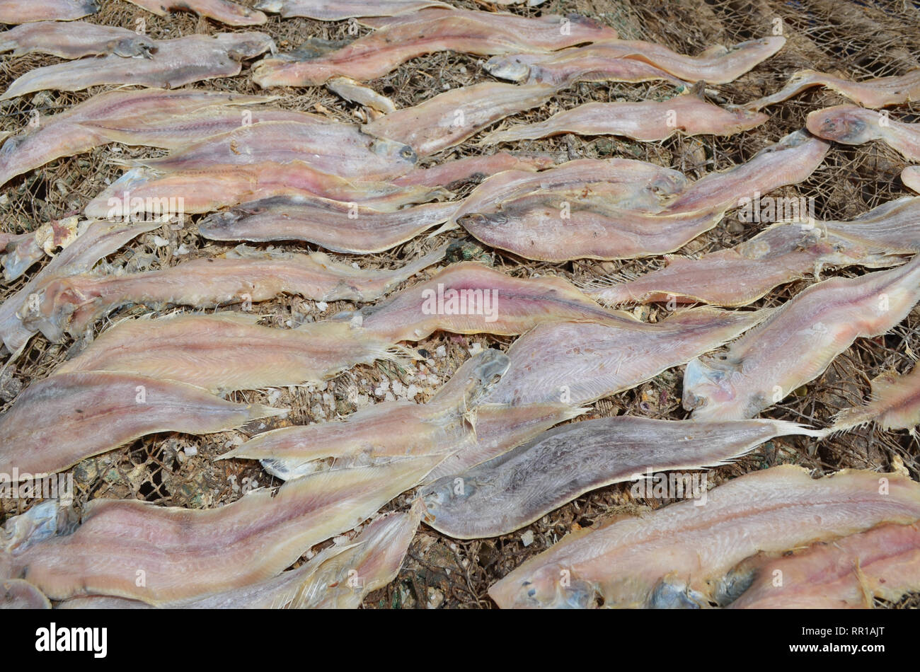 Processing areas for traditional production of sun-dried, braised and ...