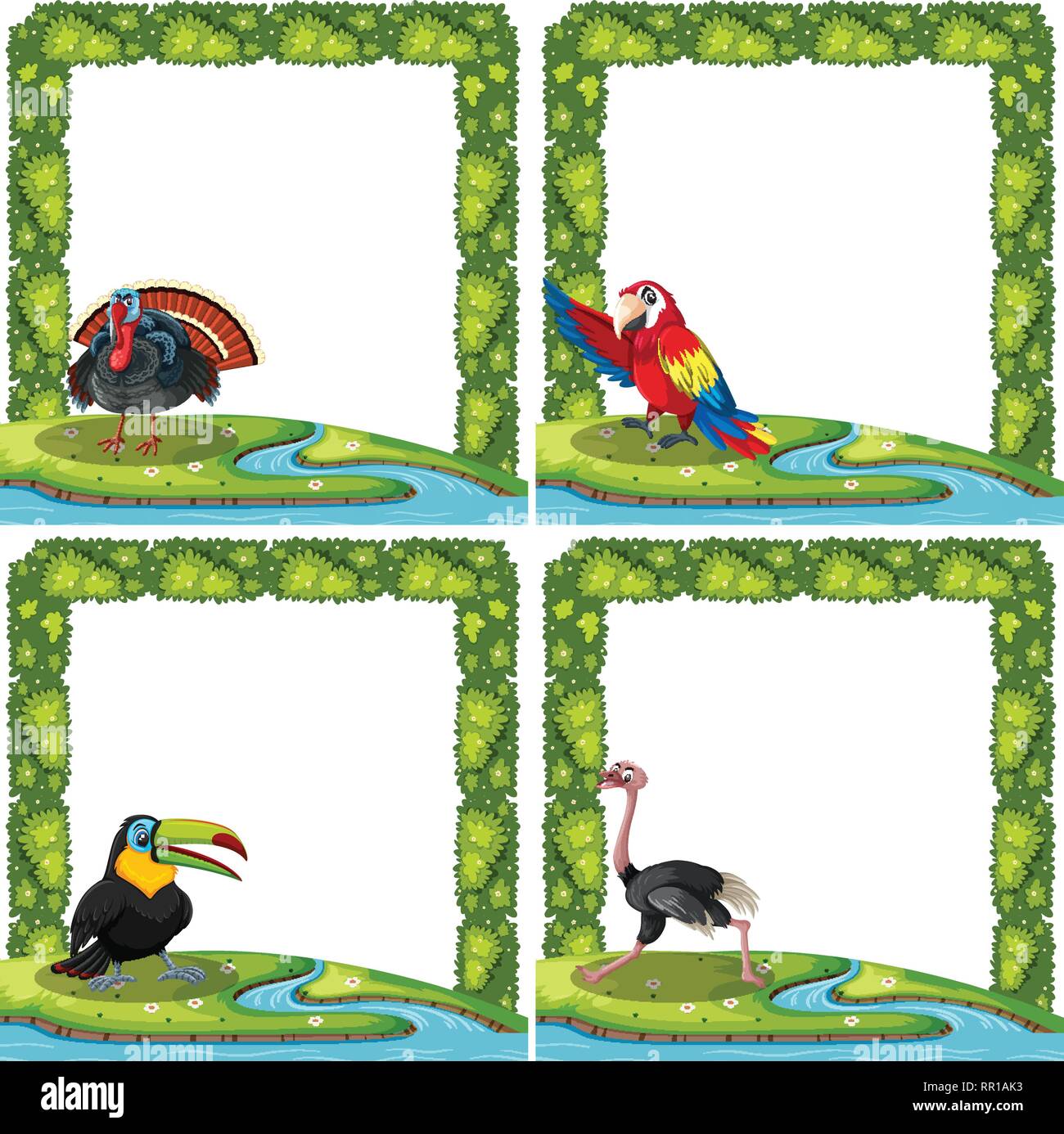 Set of bird on nature frame illustration Stock Vector Image & Art - Alamy