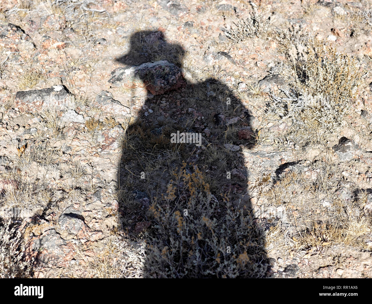Human silhouette in shadow hi-res stock photography and images - Alamy