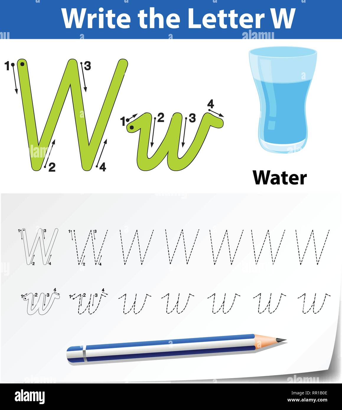 Letter W tracing alphabet worksheets illustration Stock Vector Image ...