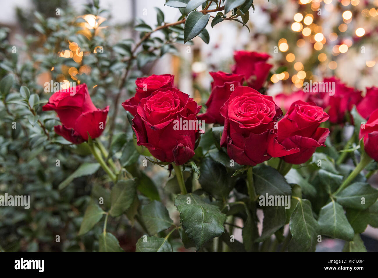 Darling street london hi-res stock photography and images - Alamy