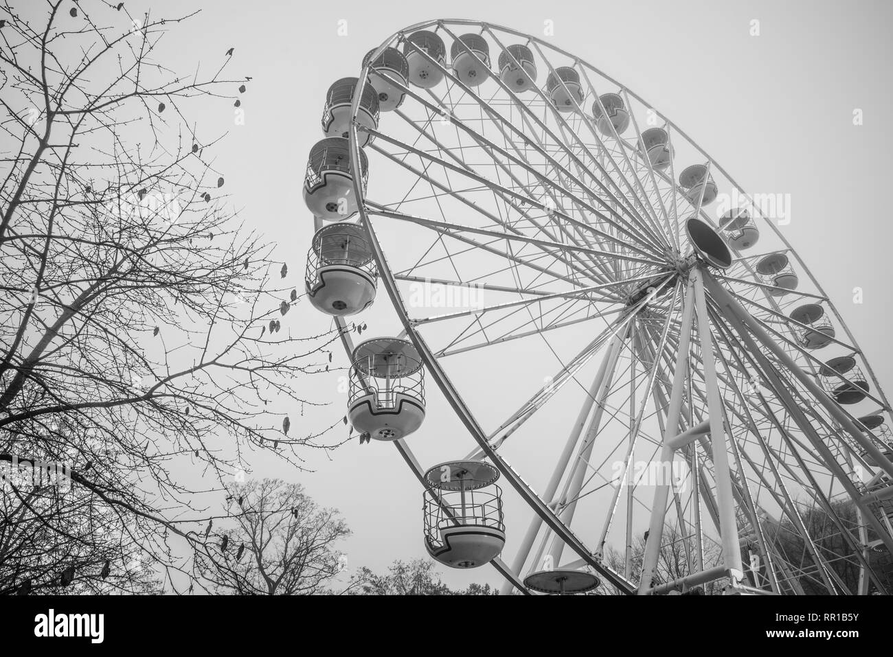 Black And White Ferris Wheel Photography
