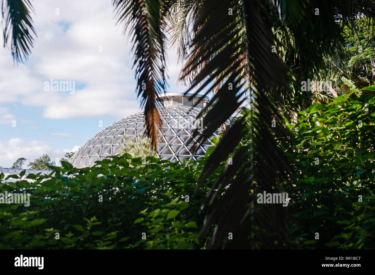 Complext hi-res stock photography and images - Alamy