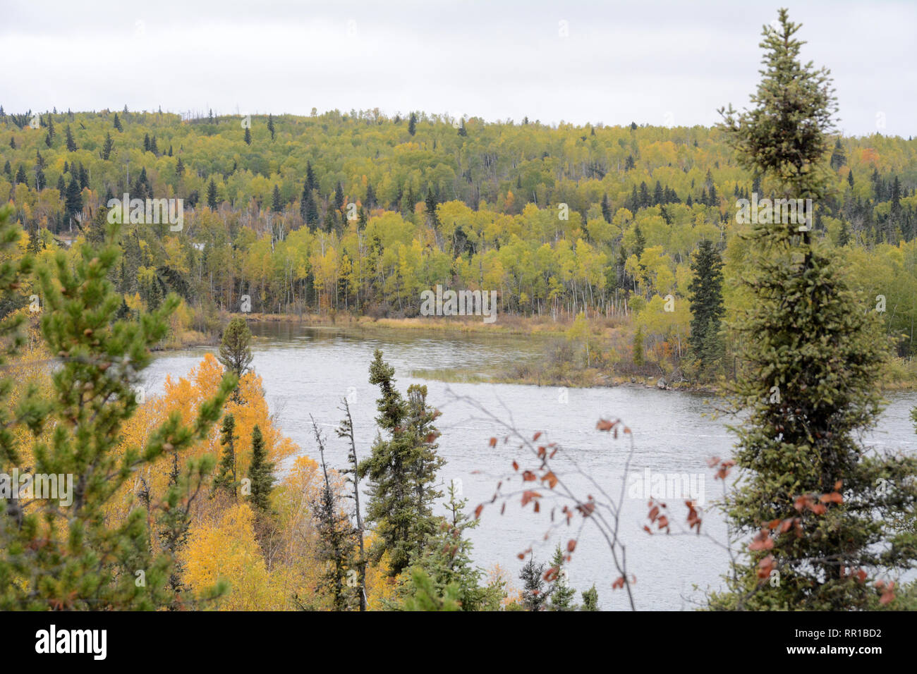 Otter lake hi-res stock photography and images - Alamy