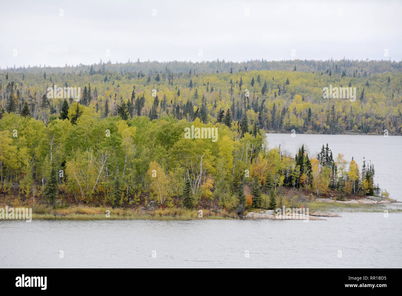 Spruce lake, saskatchewan hi-res stock photography and images - Alamy