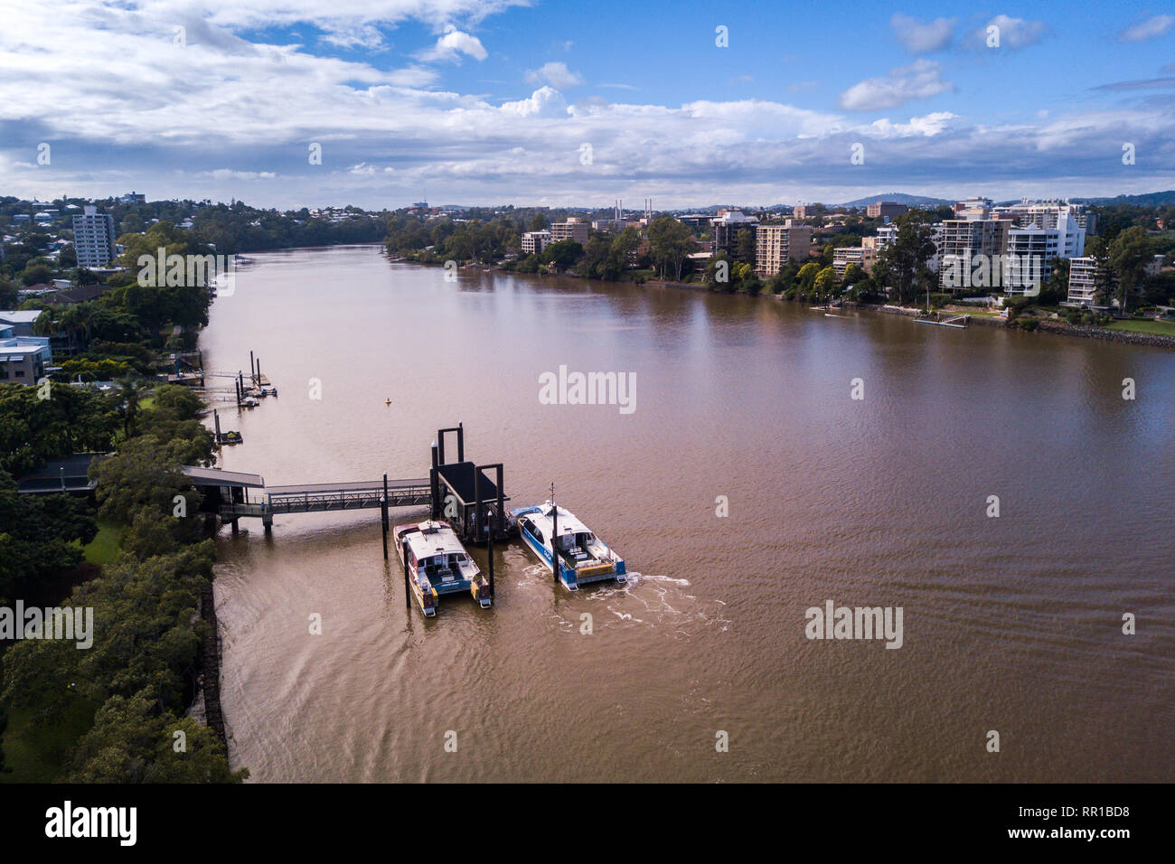 Brisbane City Cat ferry with Broncos branding Stock Photo - Alamy