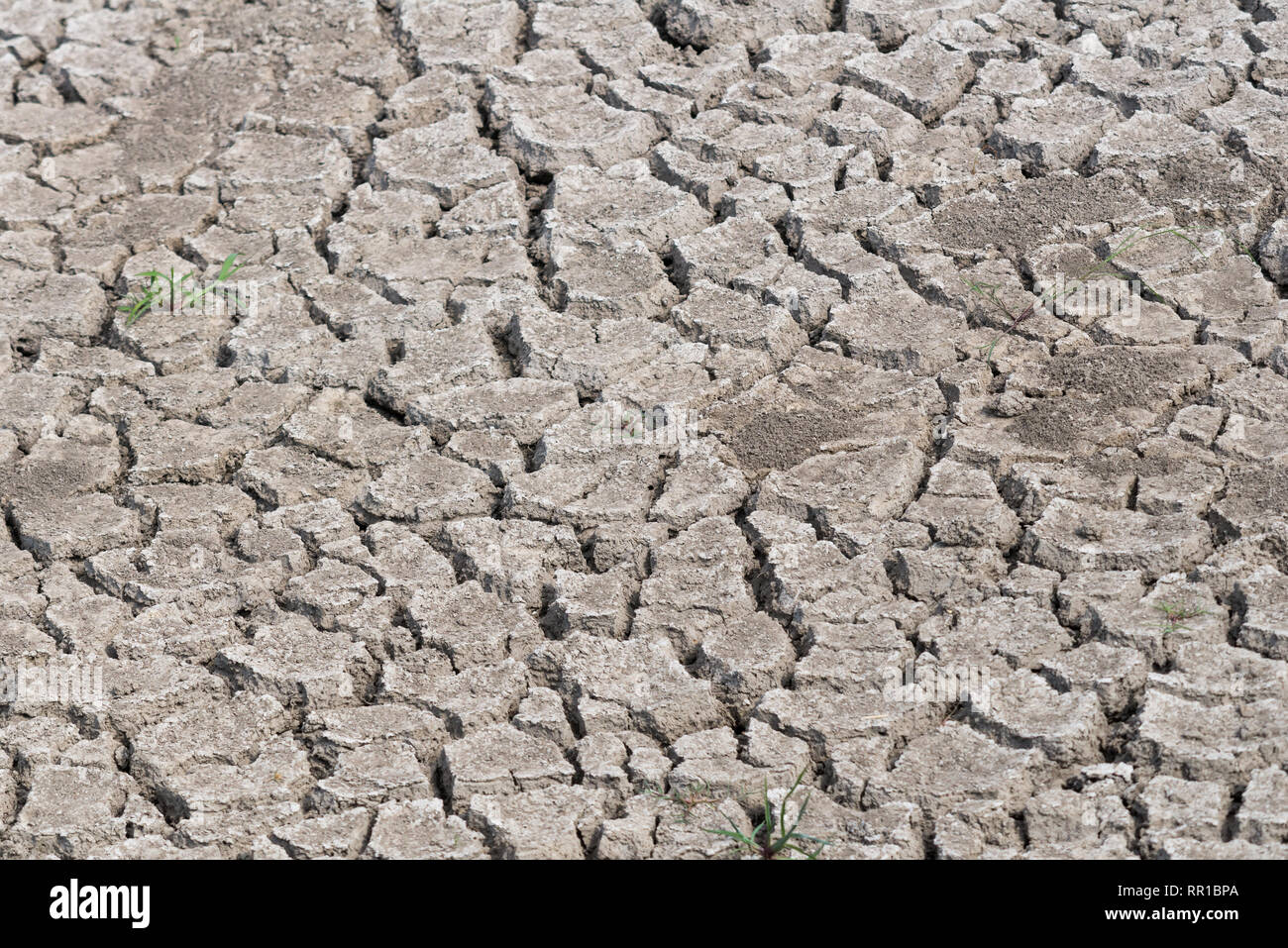 Dry land texture Stock Photo - Alamy