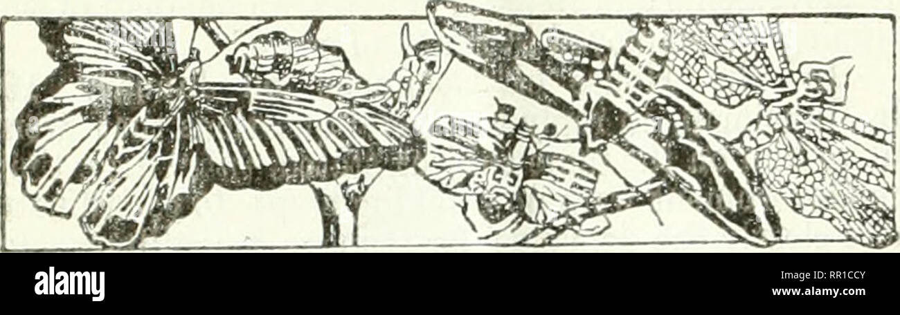 Mr ruf hi-res stock photography and images - Alamy