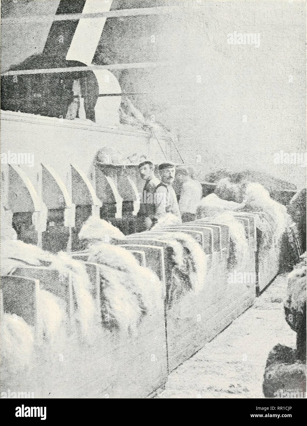 Scutching department hi-res stock photography and images - Alamy