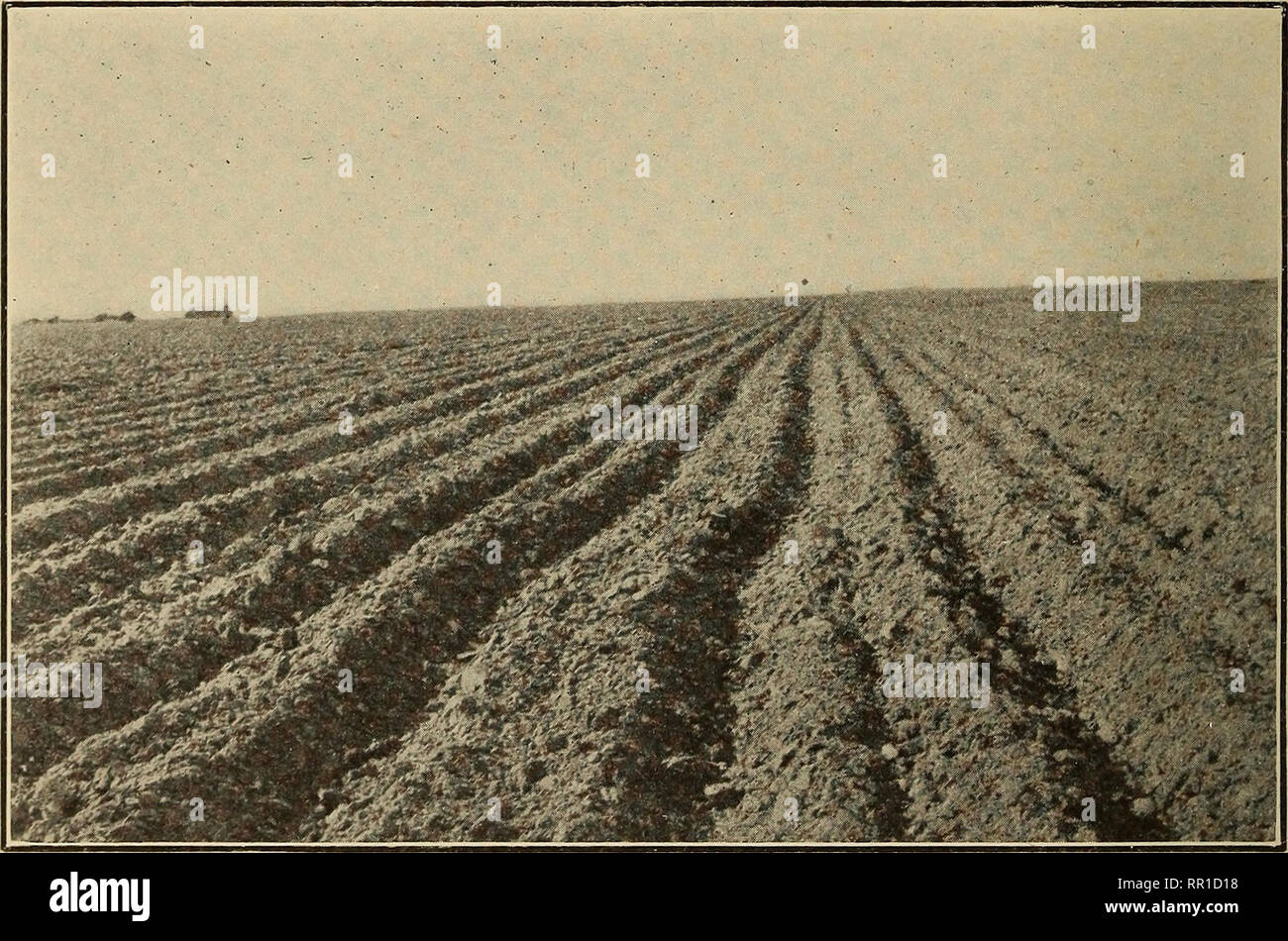 . Agriculture in the central part of the semiarid portion of the Great ...