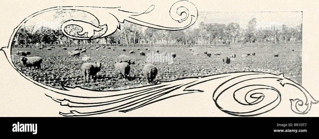 12 pegs hi-res stock photography and images - Alamy