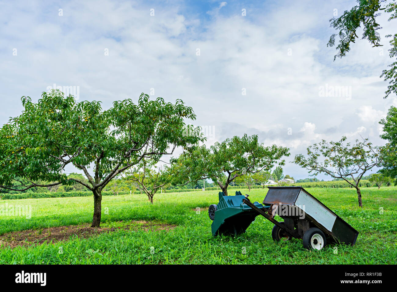 Green Farm With Orchard Stock Photo - Alamy