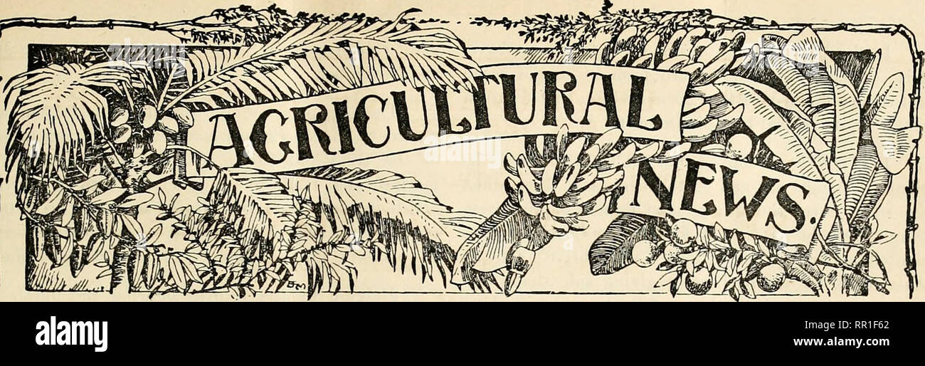 The indus worm hi-res stock photography and images - Alamy