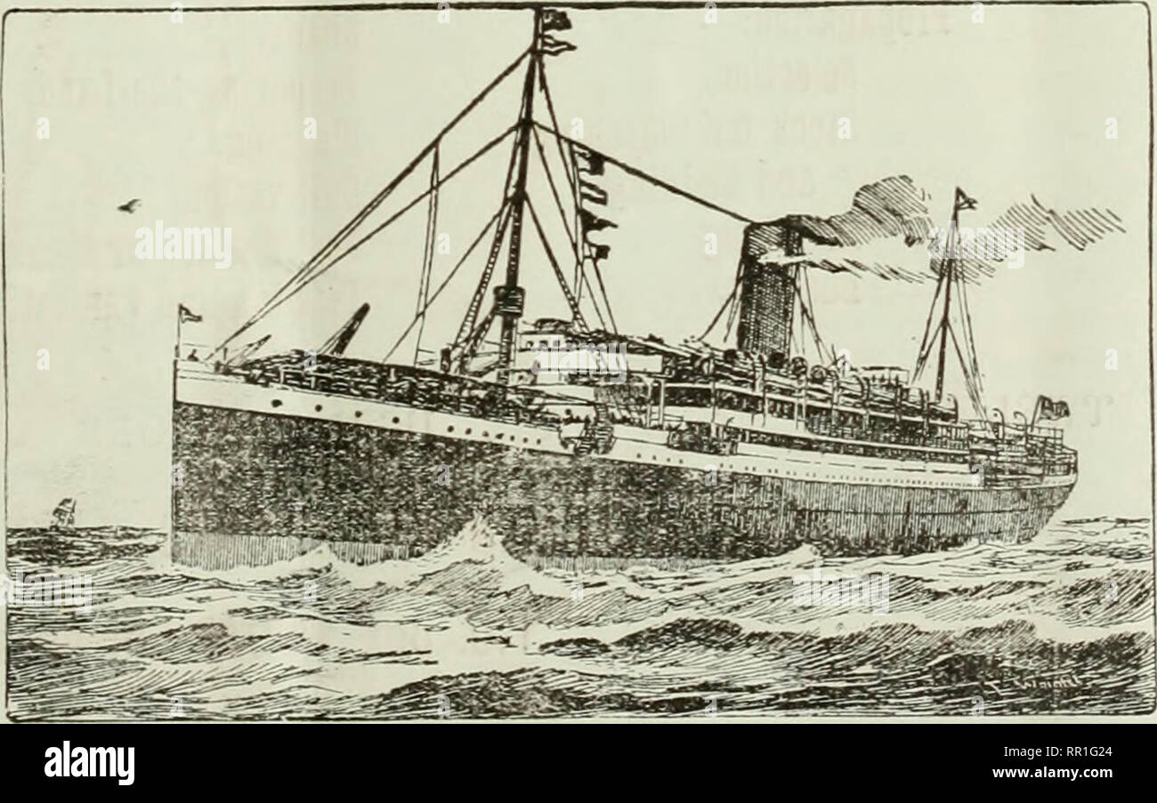 Royal mail steam packet company hi-res stock photography and images - Alamy