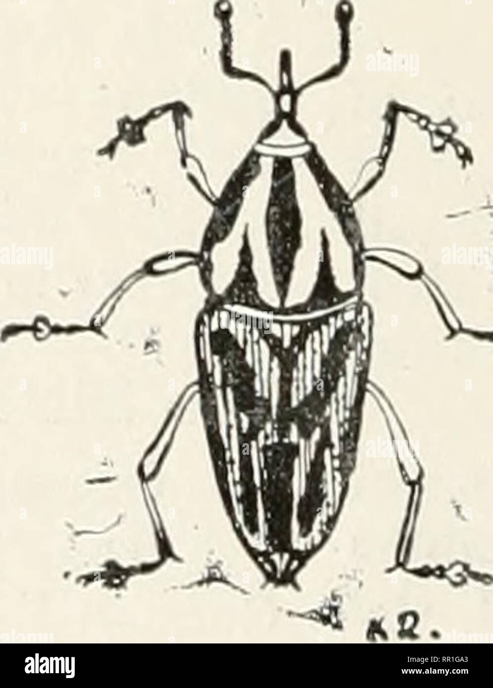 . Agricultural news. Agriculture -- West Indies; Plant diseases -- West ...