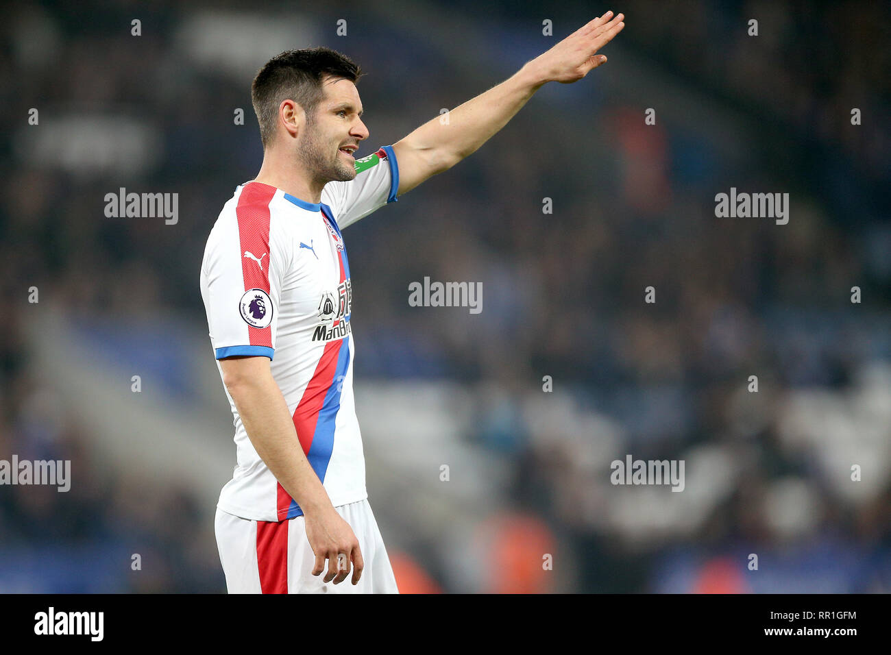 Crystal Palace's Scott Dann during the Premier League match at the King ...