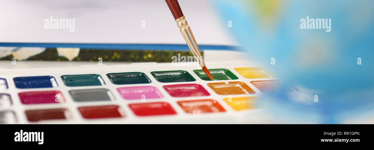 Brush point in watercolor paint closeup Stock Photo - Alamy