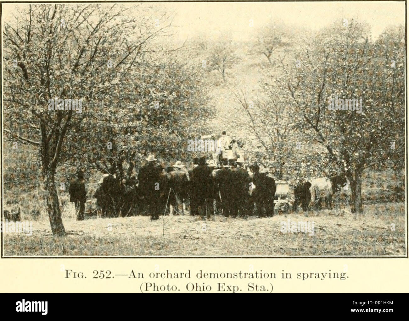 . Agricultural entomology for students, farmers, fruit-growers and ...