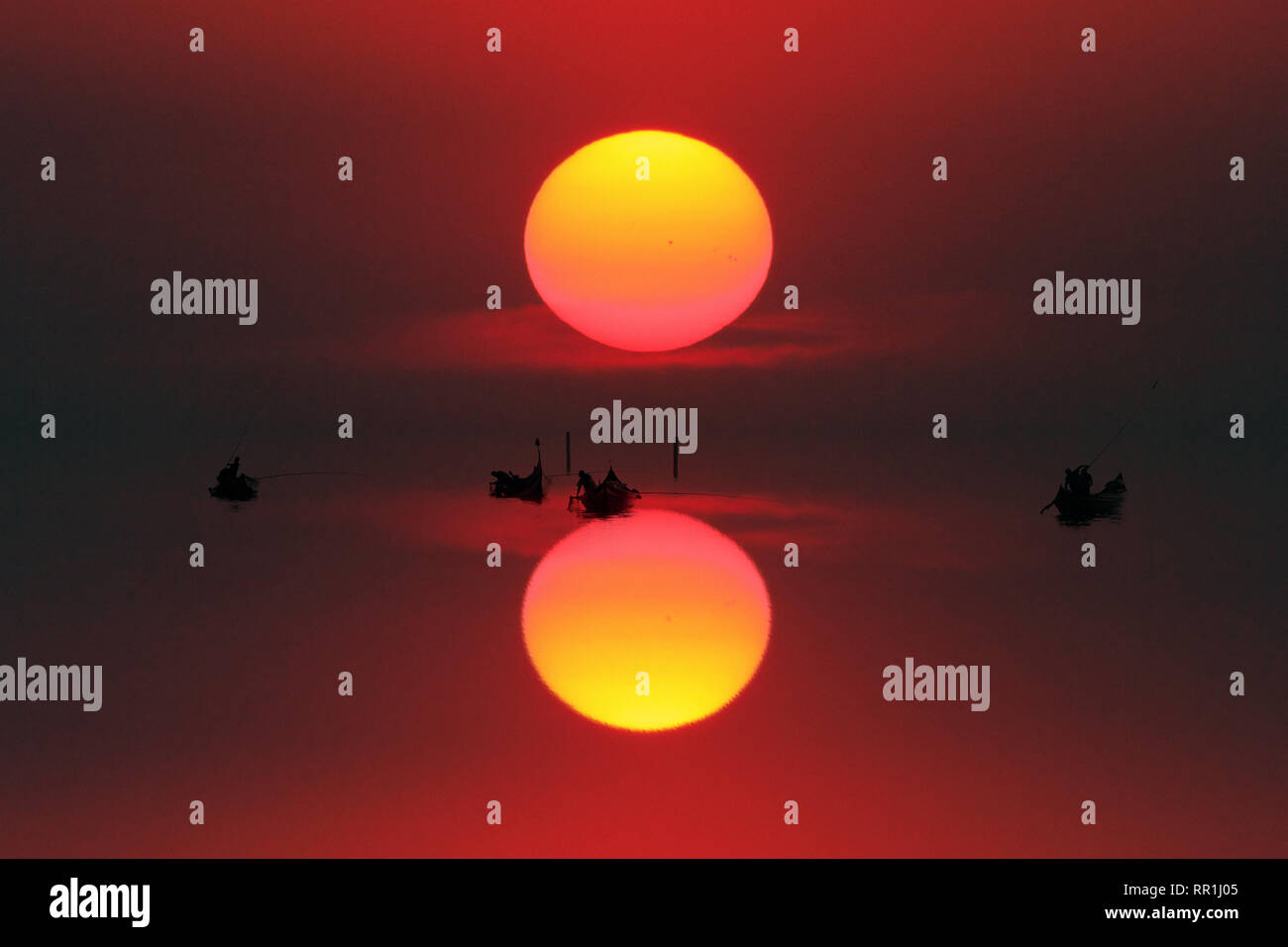 Traditional fishing boats of the Ria de Aveiro during toil at sunset ...