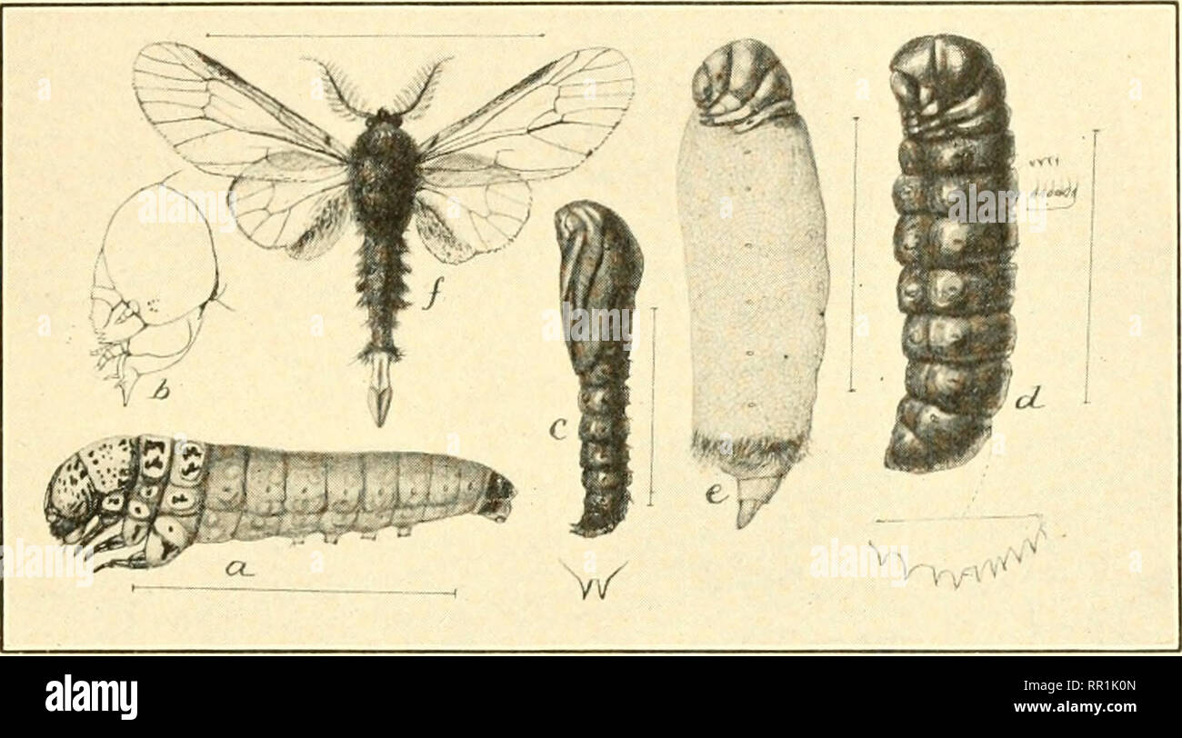 Homologous series hi-res stock photography and images - Alamy