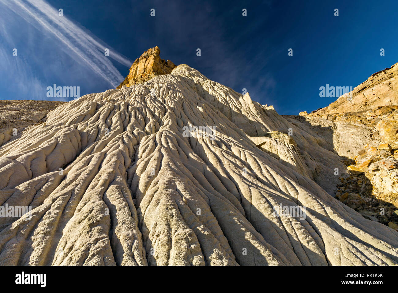 Fissures of the brain hi-res stock photography and images - Alamy