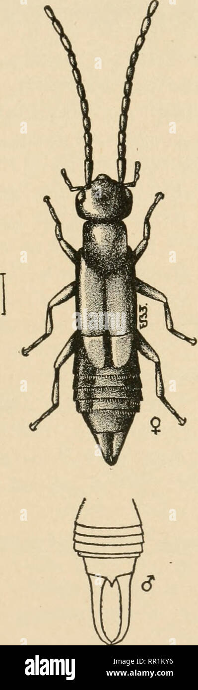 . Agricultural entomology for students, farmers, fruit-growers and ...