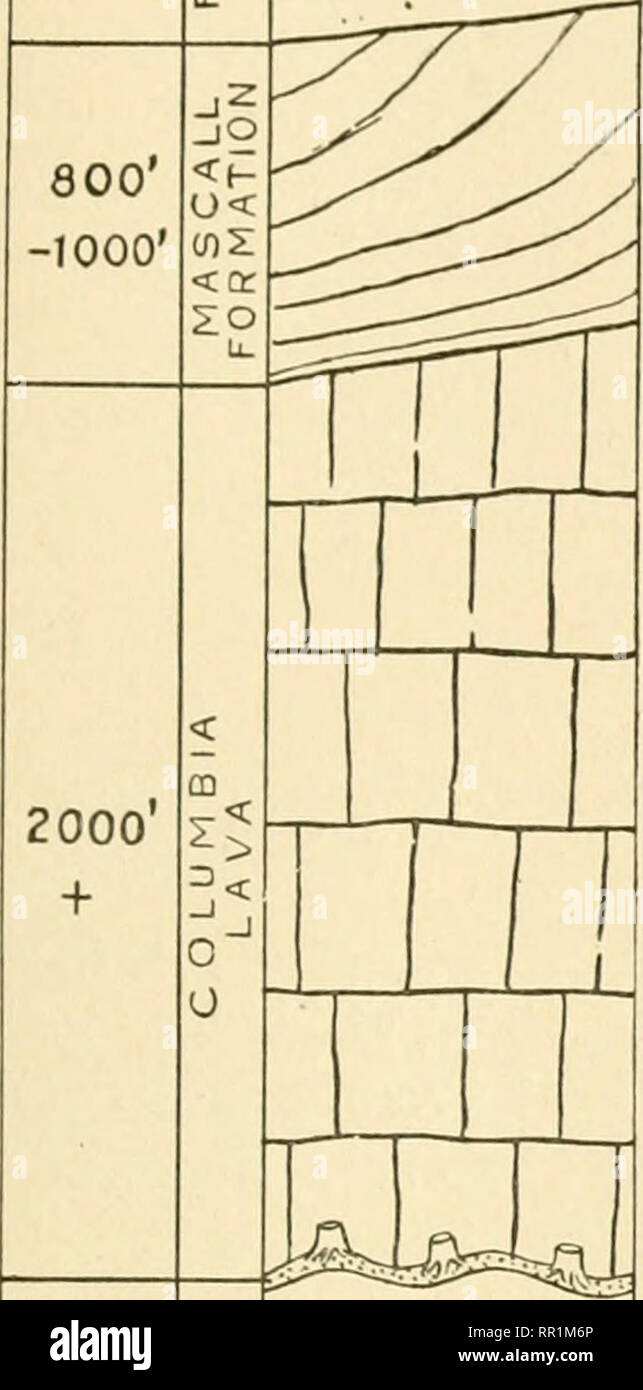 . The age of mammals in Europe, Asia and North America. Mammals, Fossil ...