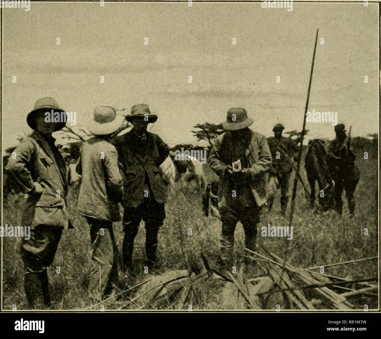 Tsetse fly bite hi-res stock photography and images - Alamy