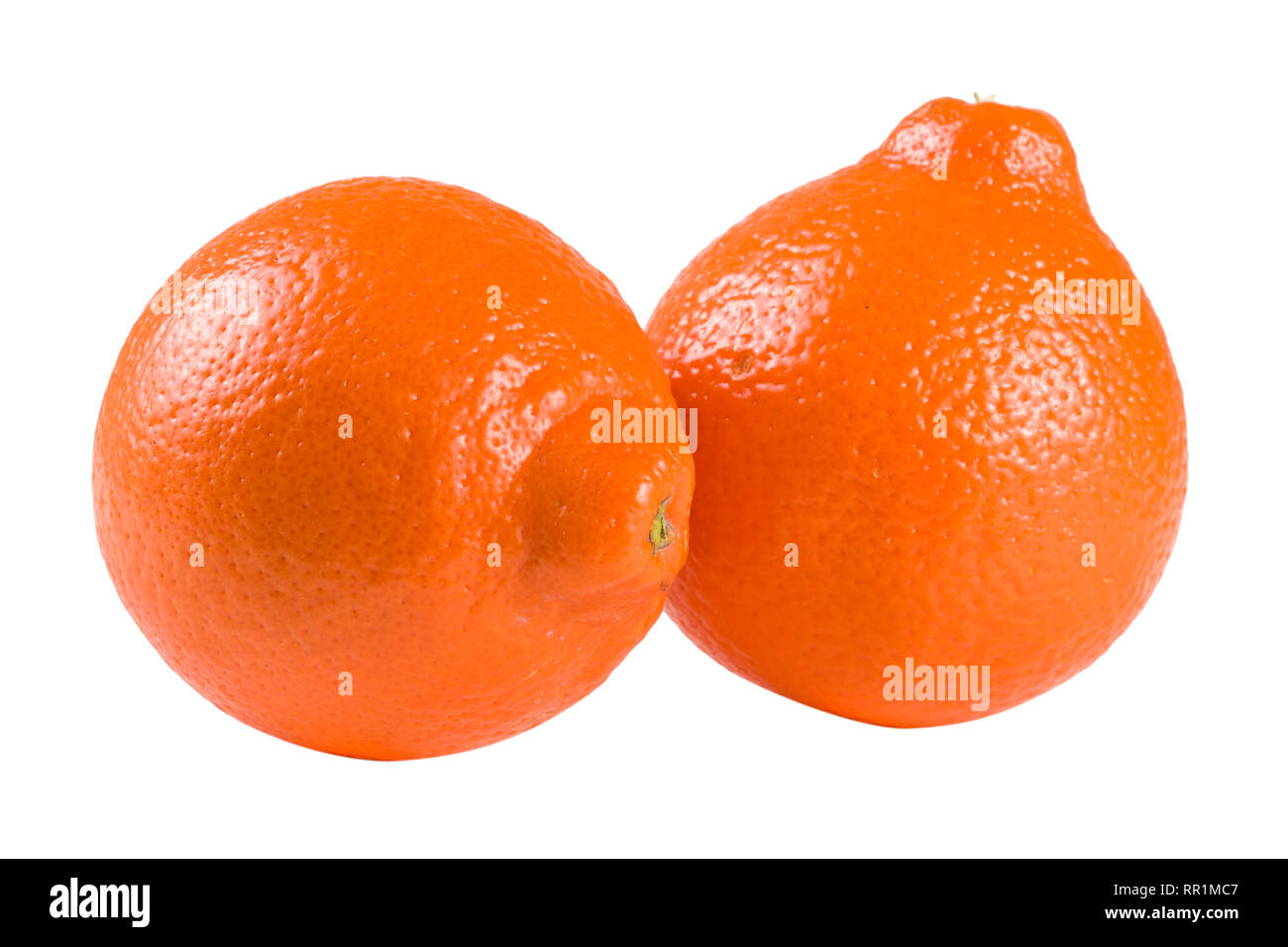 two orange tangerine or Mineola with leaf isolated on white background ...
