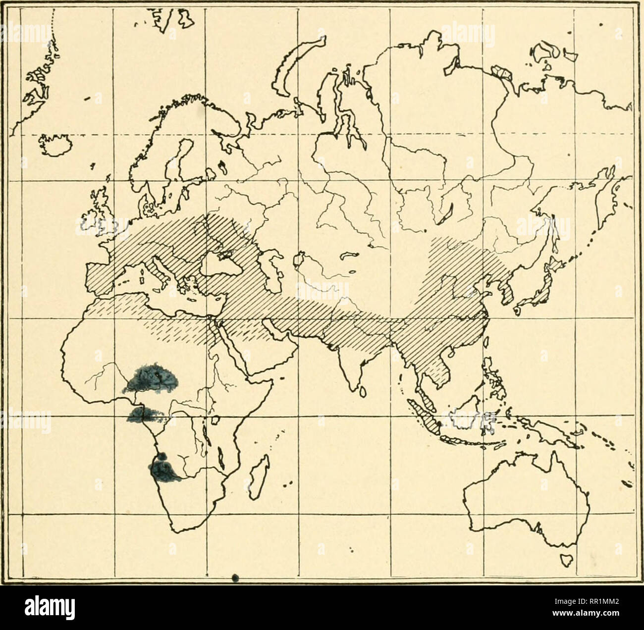 . The age of mammals in Europe, Asia and North America. Mammals, Fossil ...