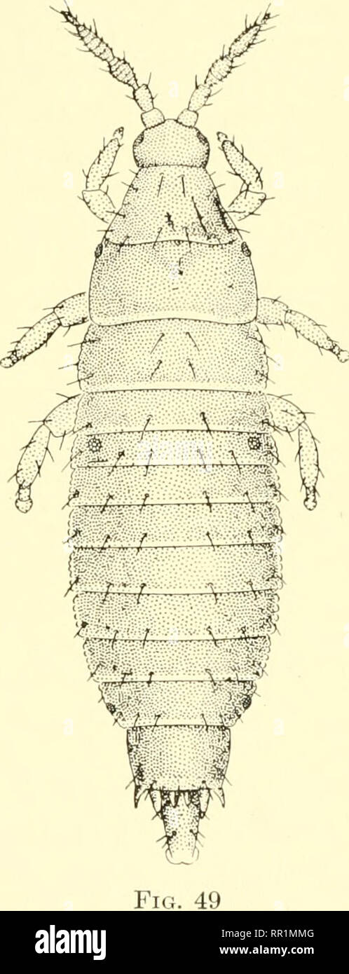 . Agricultural entomology for students, farmers, fruit-growers and ...