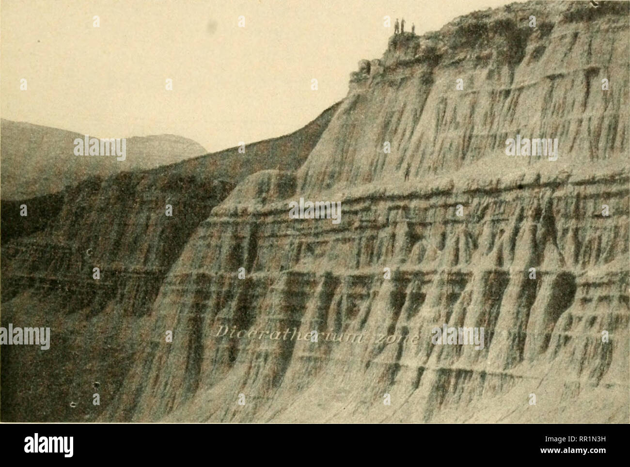 Fossiliferous zone hi-res stock photography and images - Alamy