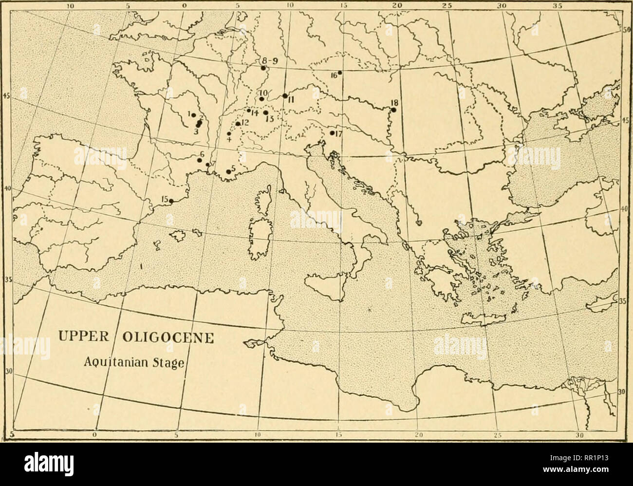 Hyaenodonts hi-res stock photography and images - Alamy