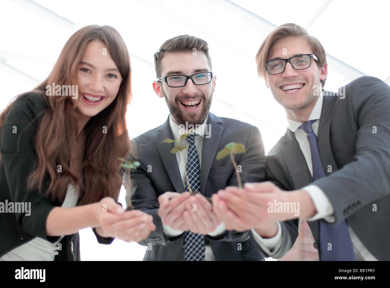 close up.the business team shows fresh sprouts Stock Photo - Alamy