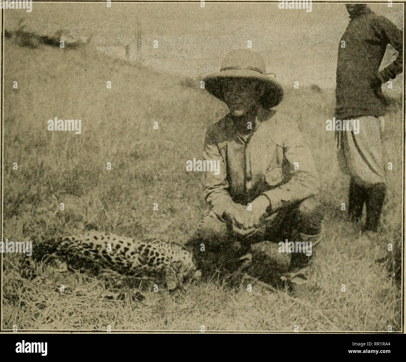 Ant trails hi-res stock photography and images - Alamy