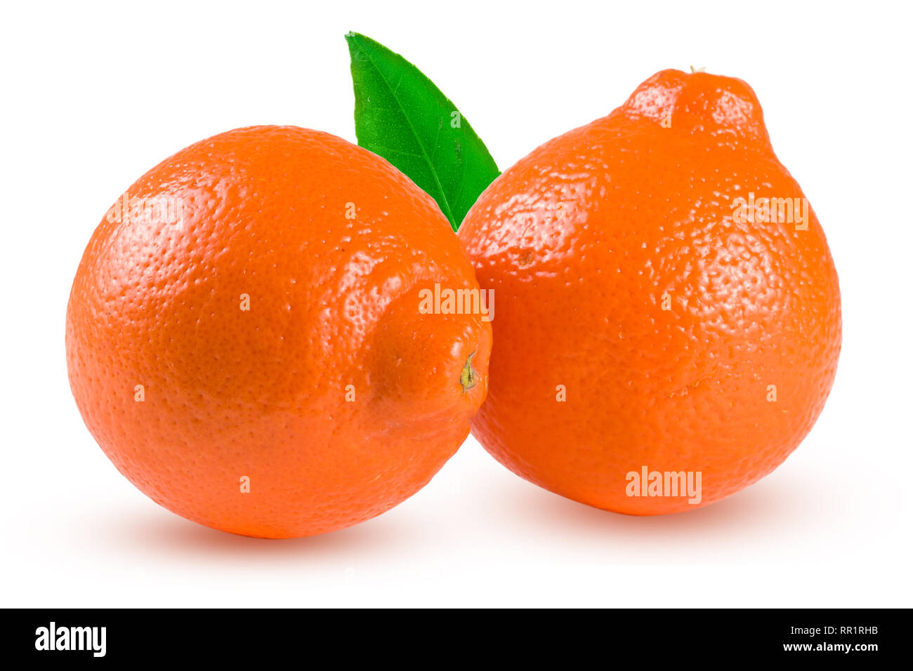 Mineola fruit tangelo hi-res stock photography and images - Alamy