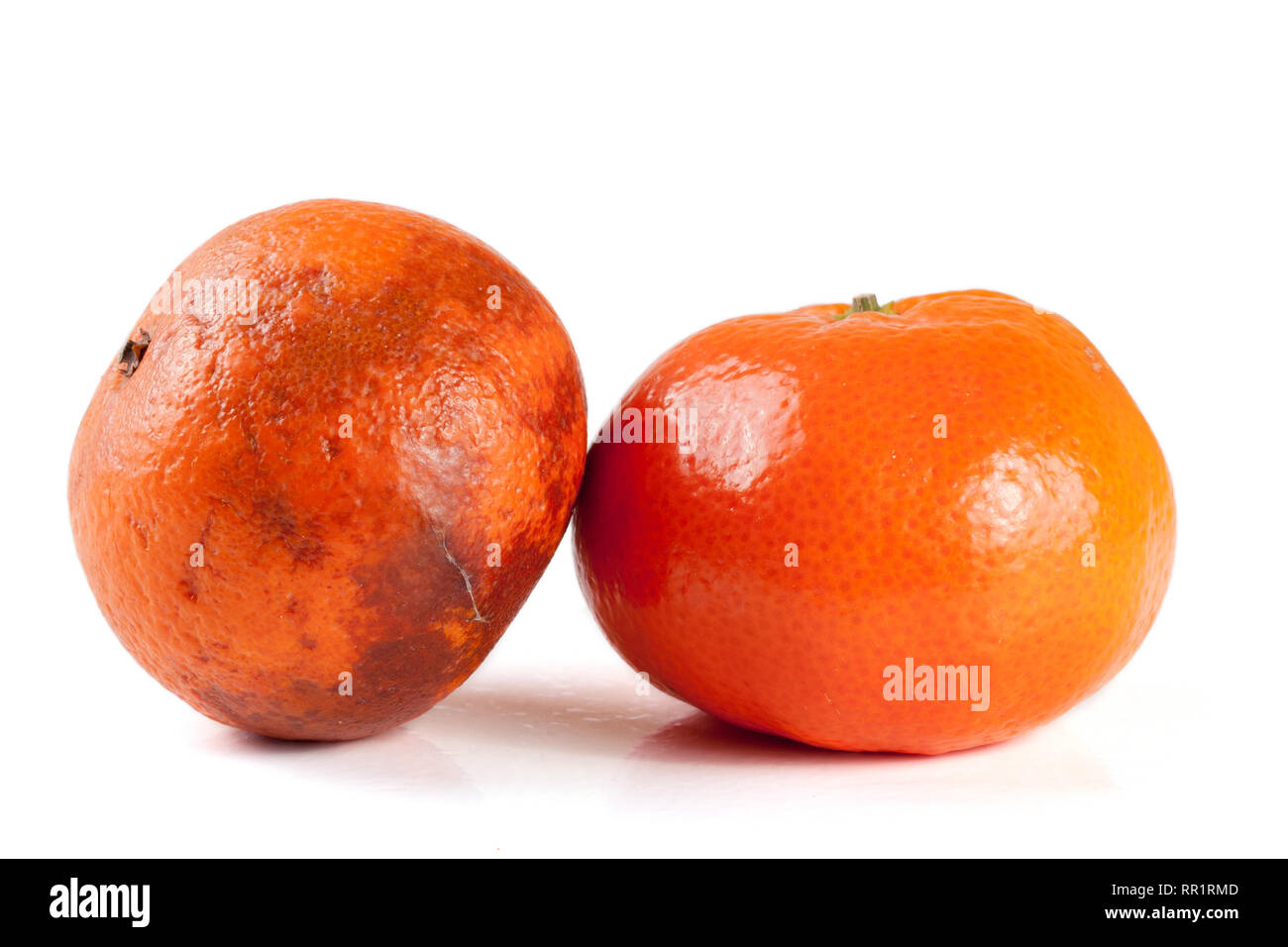 fresh and damaged tangerine isolated on white background Stock Photo ...