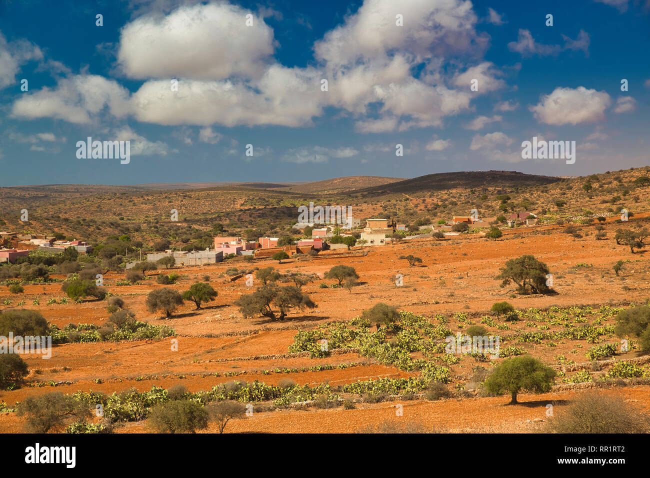 Tafilalt oasis hi-res stock photography and images - Alamy