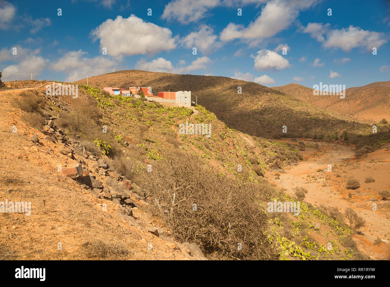 Tafilalt oasis hi-res stock photography and images - Alamy