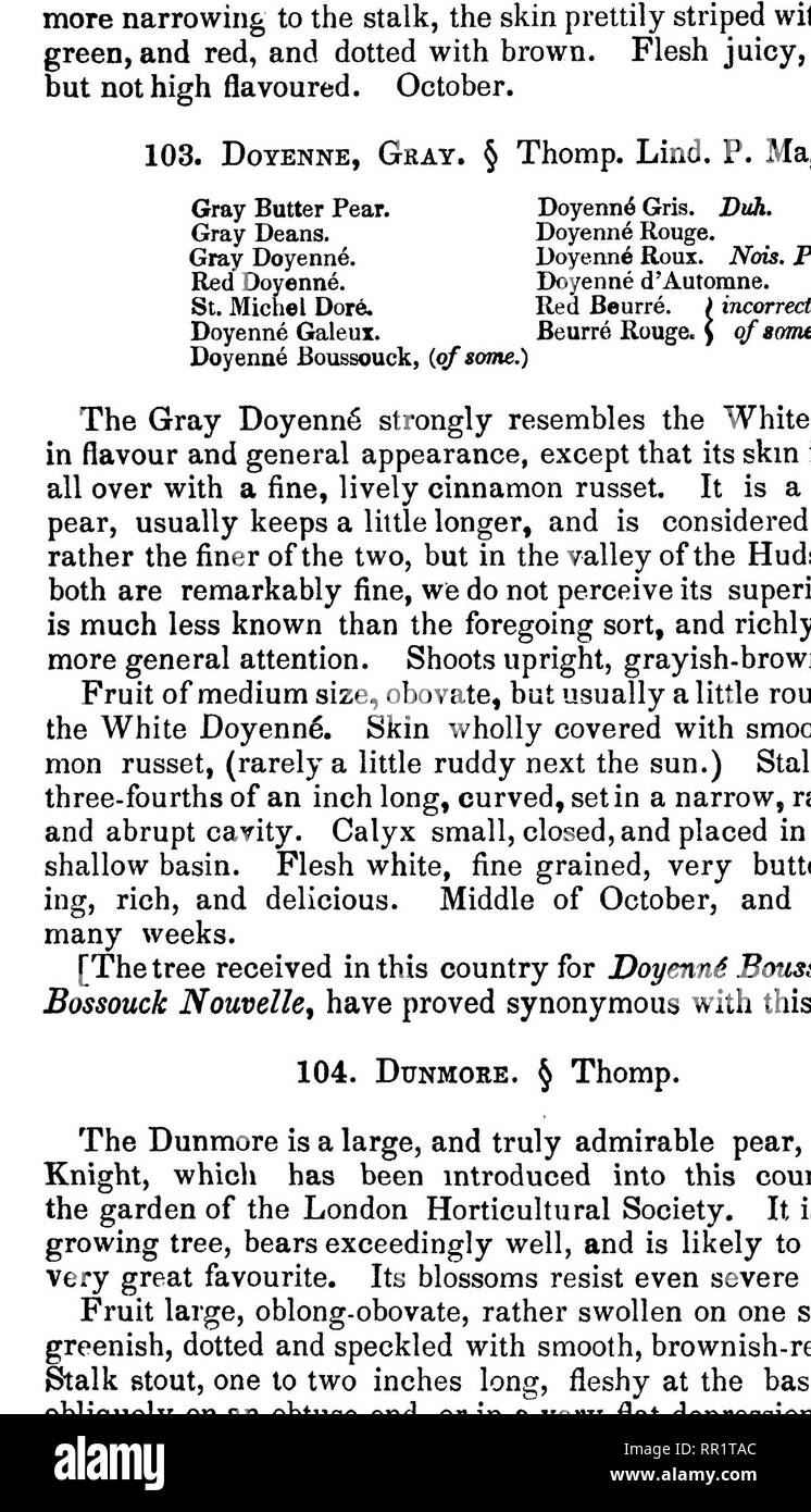 Andrew pears hi-res stock photography and images - Alamy