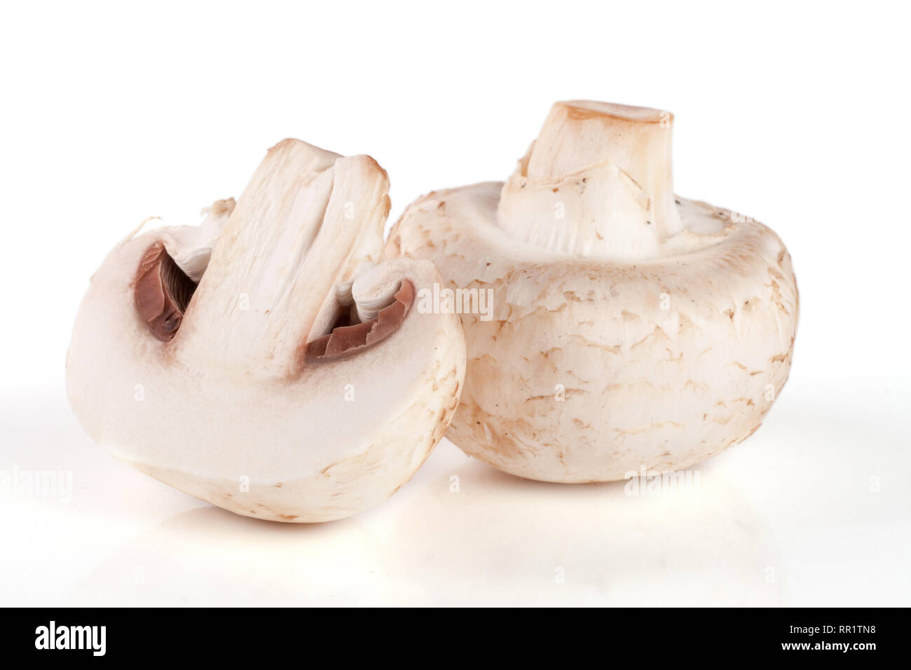 champignon mushrooms and half isolated on white background Stock Photo ...