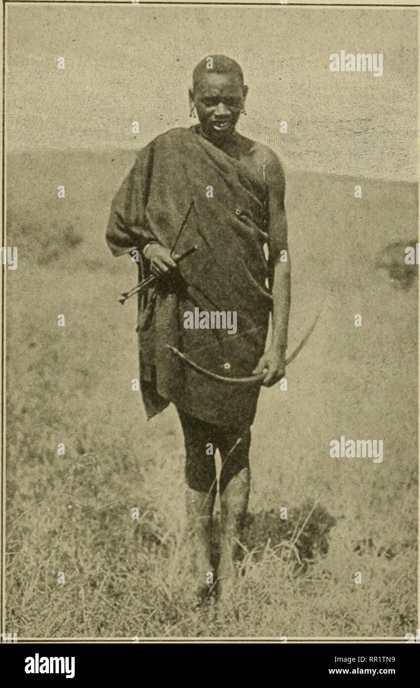 Visit to kapiti hi-res stock photography and images - Alamy