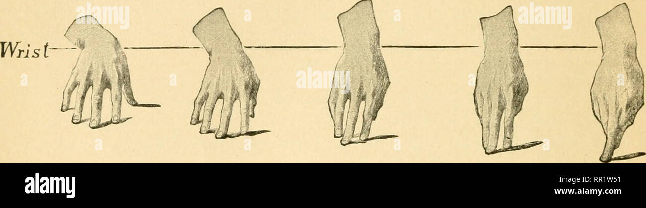 . The age of mammals in Europe, Asia and North America. Mammals, Fossil ...