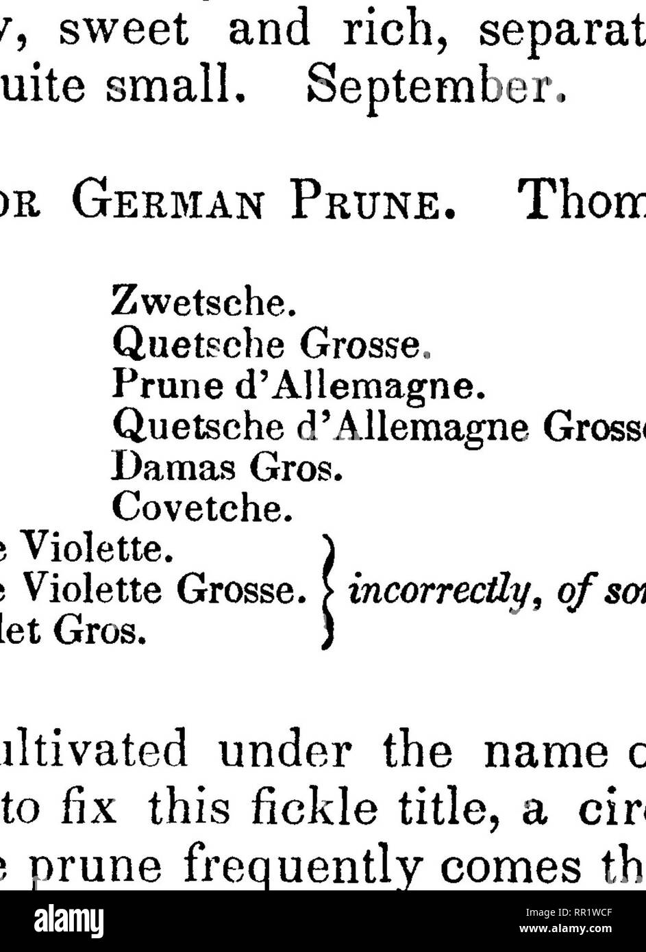 German prune Black and White Stock Photos & Images - Alamy