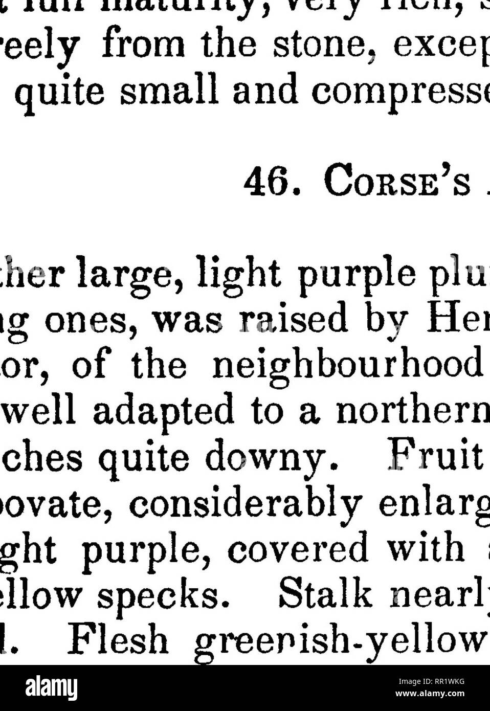 Cruge hi-res stock photography and images - Alamy