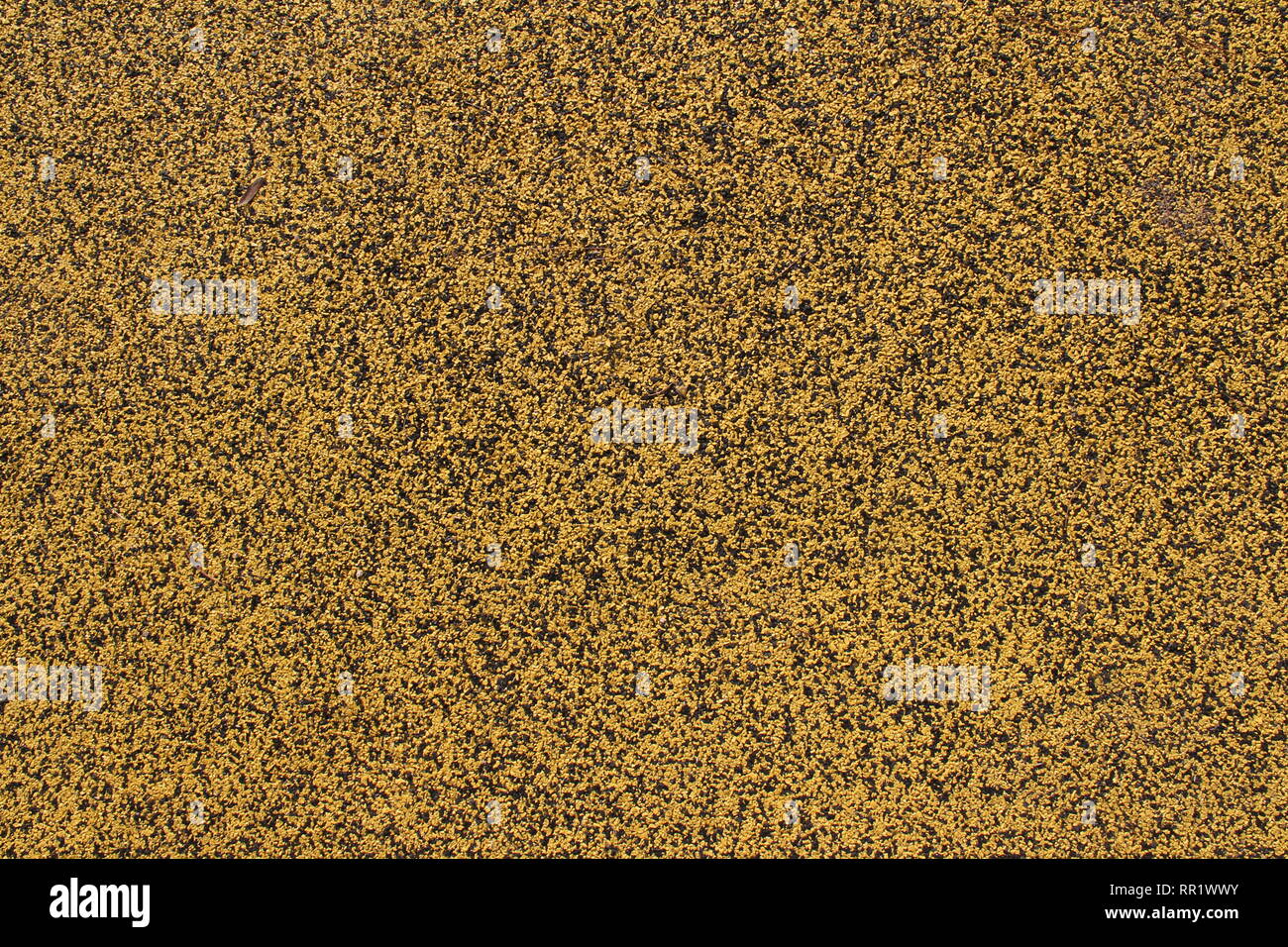 Colorful, yellow background, detail of soft earth of antitrauma. of ...